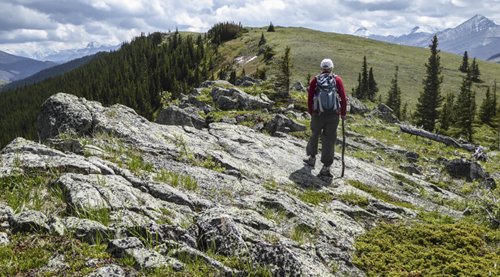 Kananaskis Trails — Hiking, Winter Walking and Snowshoeing — Page 25