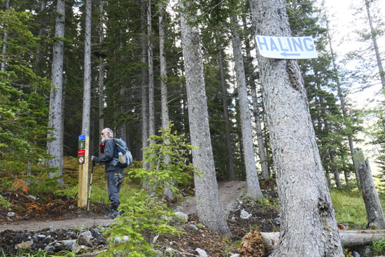 Ha Ling – The new reconstructed trail to Ha Ling and Miners Peak