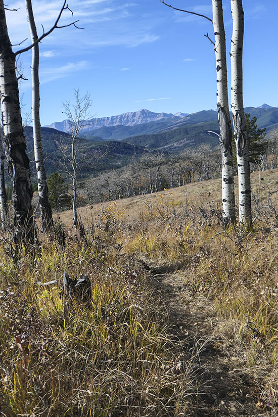 The Aspen/9999 Loop for fall